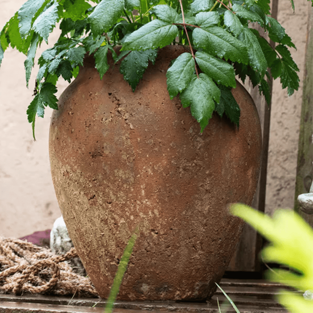 Distressed Cement Plant Pot – RusticReach
