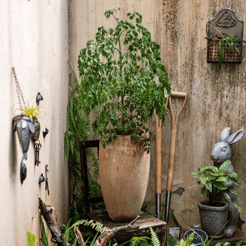 Distressed Cement Plant Pot Tall – RusticReach