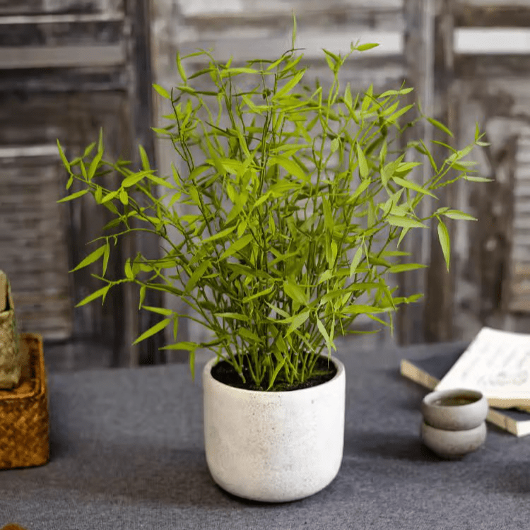 Realistic Mini Bamboo Leaf Potted Plant – RusticReach