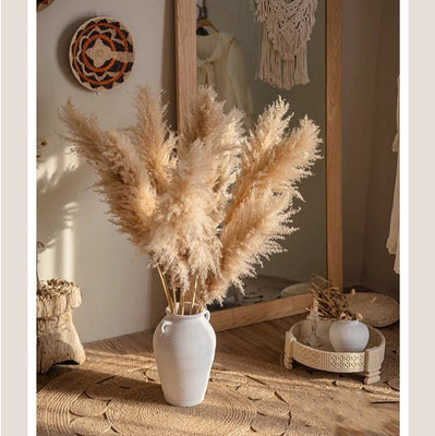 Natural Reed Stem 10 Stem Set 51" Tall – RusticReach