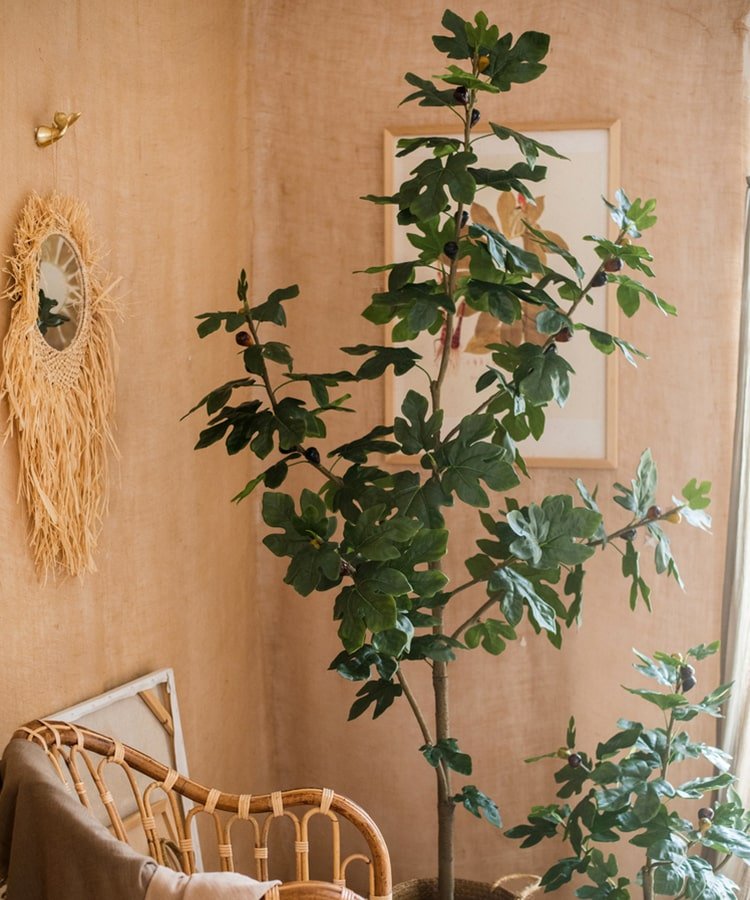 Artificial Fig Tree , Faux Fig Tree – RusticReach