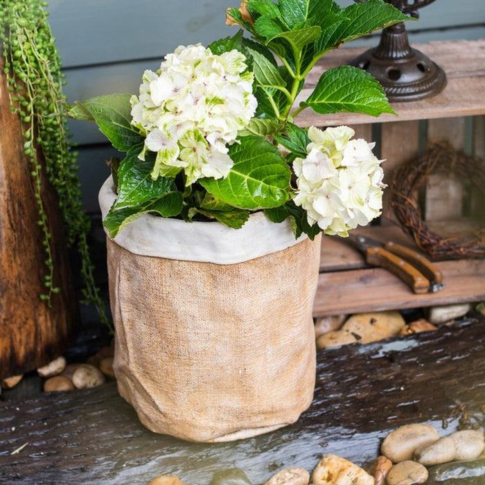 Paper Bag Style Concrete Garden Pot – RusticReach