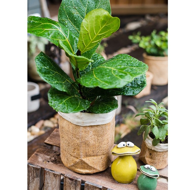 Paper Bag Style Concrete Garden Pot – RusticReach