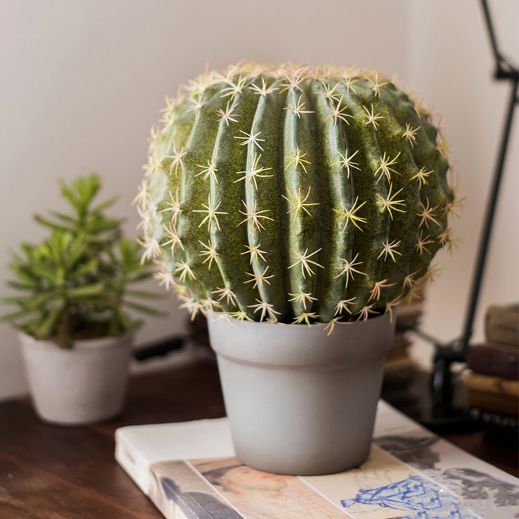 Artificial Faux Cactus Ball In Pot – RusticReach