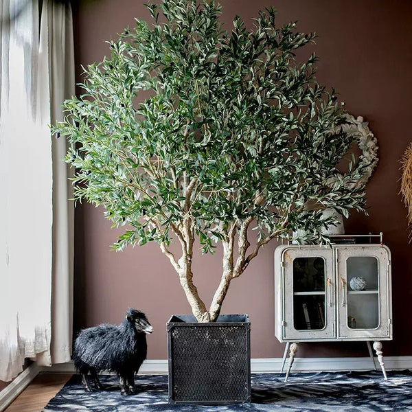 Extra Large Olive Tree 90" Tall – RusticReach