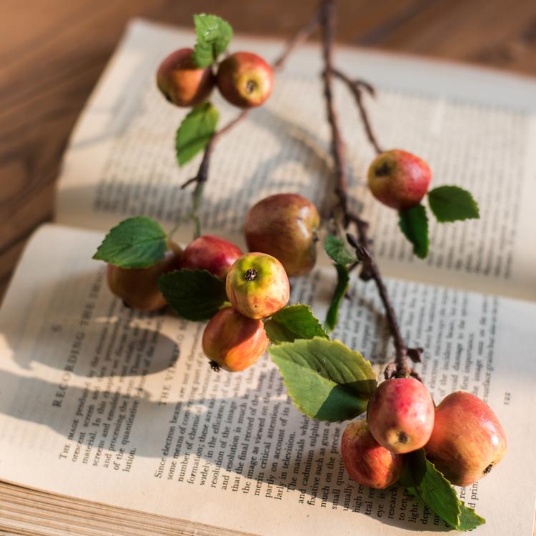 Artificial Fruit Mini Apple Stems in Red 23" Tall – RusticReach