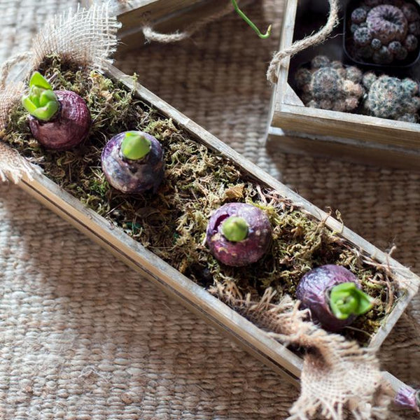 Solid Wood Crate Flat Long Crate With Rope Handles – RusticReach